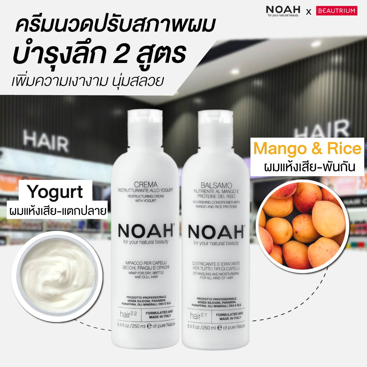 BEAUTRIUMxNOAH Shampoo&Crema