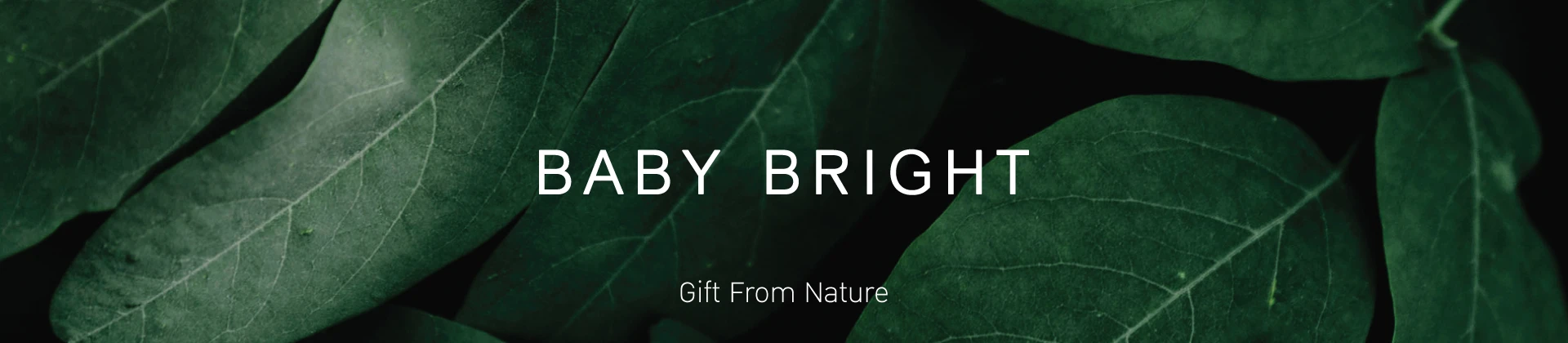 BABY BRIGHT OFFICIAL STORE